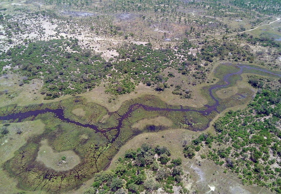 Beautiful Botswana – Natur pur! | Reiseveranstalter Elefant-Tours