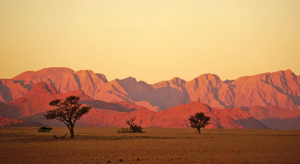 Welche Nationalparks in Namibia besuchen? Unsere 10 Favoriten