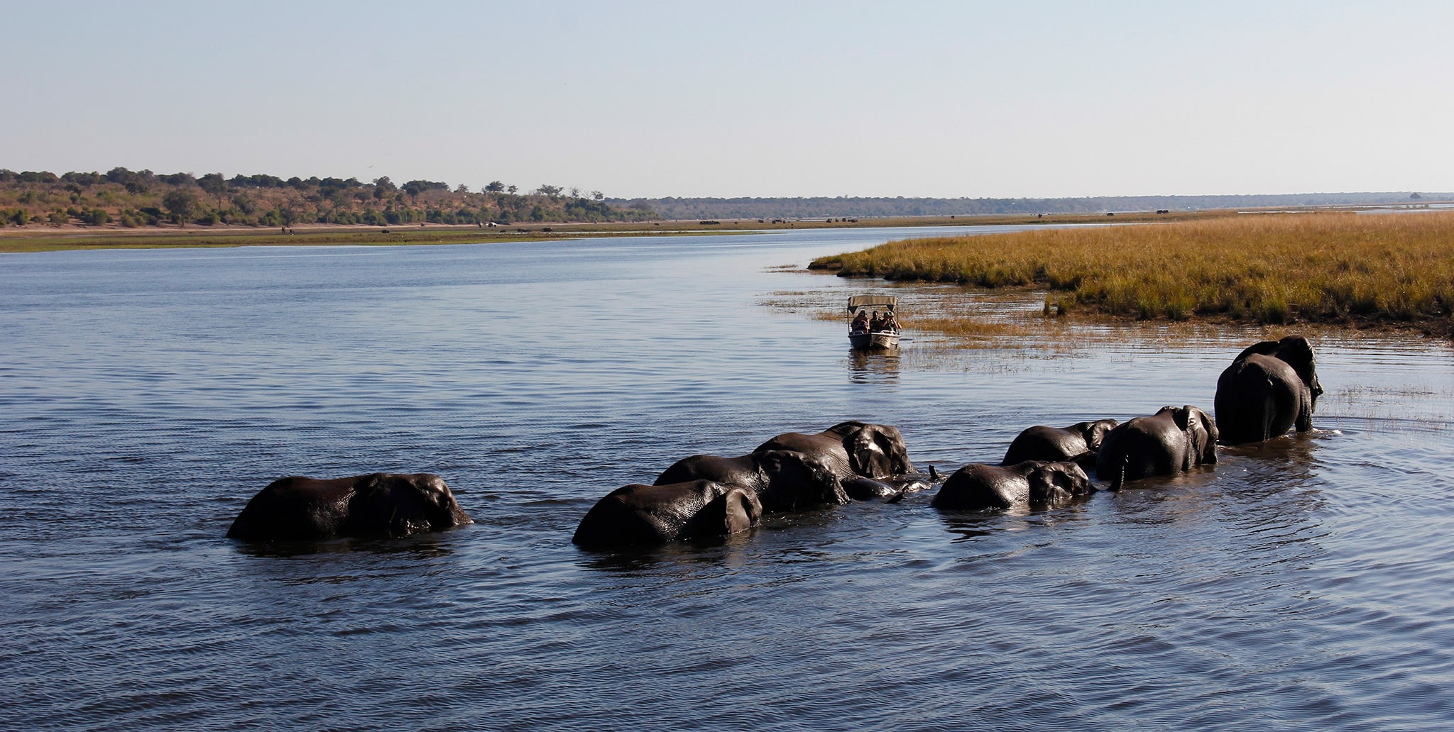 Botswana Safaris + Rundreisen: Okavango Delta & mehr | Elefant-Tours