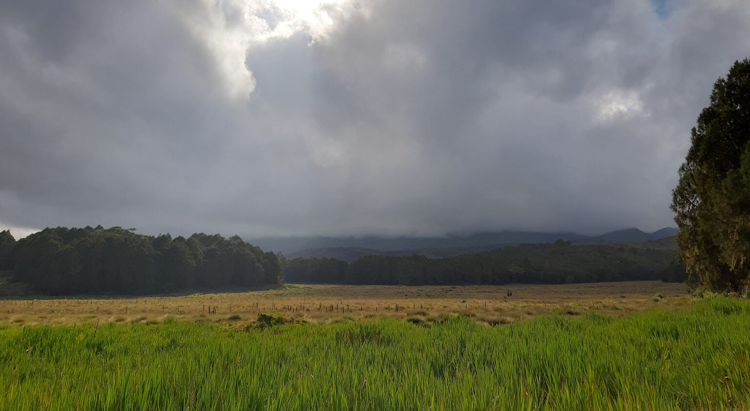 Wo kann man in Kenia wandern? Wanderrouten: Mount Kenya