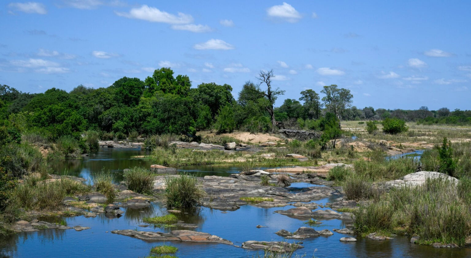 Verwunderlich Kruger Nationalpark Malaria Bild